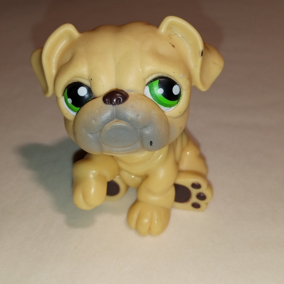 Hasbro | Toys | Lps Littlest Pet Shop Puppy Dog Bull Dog 7 | Poshmark